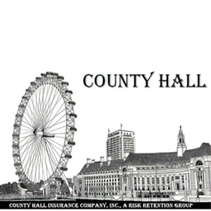 Multi-Rating Insurance System